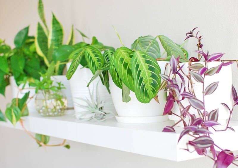 13 Indoor DIY Plant Shelf Ideas You’ll Want To Copy Now! • OhMeOhMy Blog