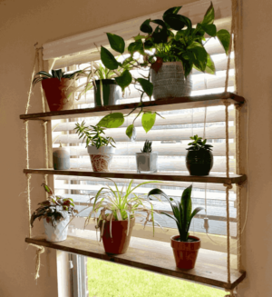 13 Indoor DIY Plant Shelf Ideas You’ll Want To Copy Now! • OhMeOhMy Blog